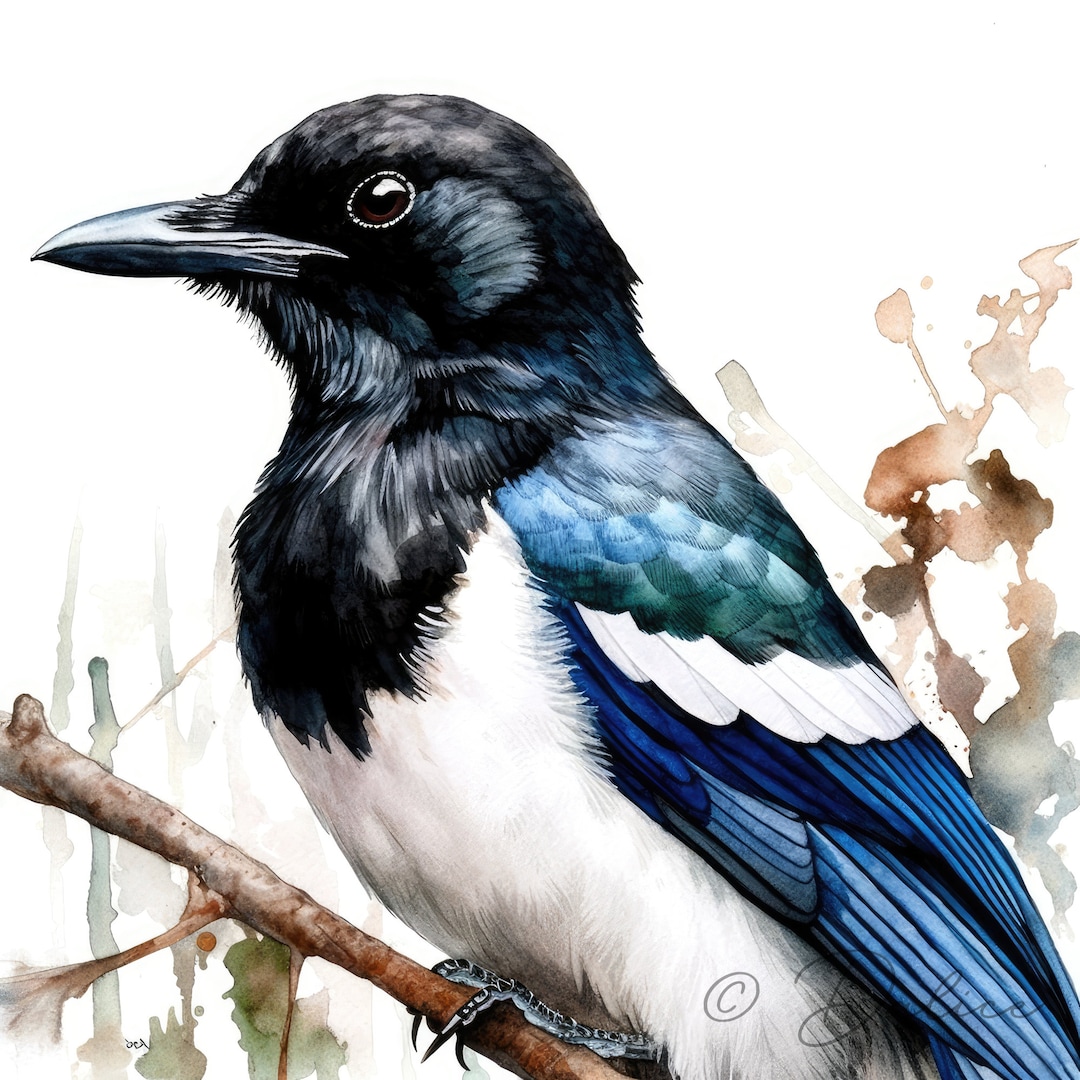 Magpie Clip Art - 12 High Quality Images - Digital Planner, Watercolor ...