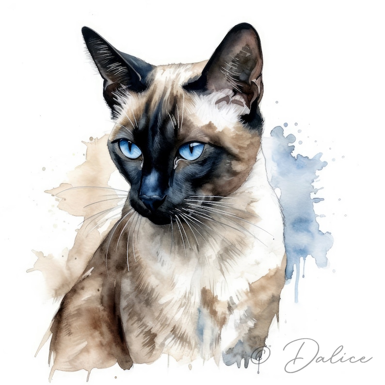 Siamese Cat Clip Art 12 High Quality Images Digital - Etsy
