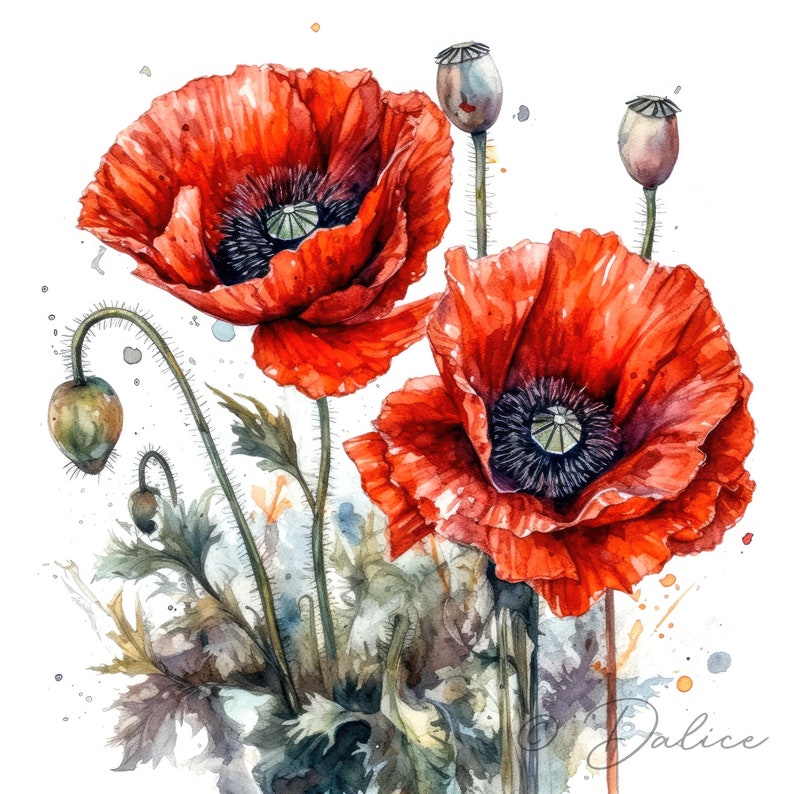 Poppies Clip Art 12 High Quality Images Digital Planner - Etsy