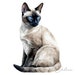 Siamese Cat Clip Art 12 High Quality Images Digital Planner, Watercolor ...