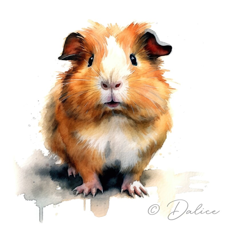 Guinea Pig Clip Art 12 High Quality Images Digital - Etsy