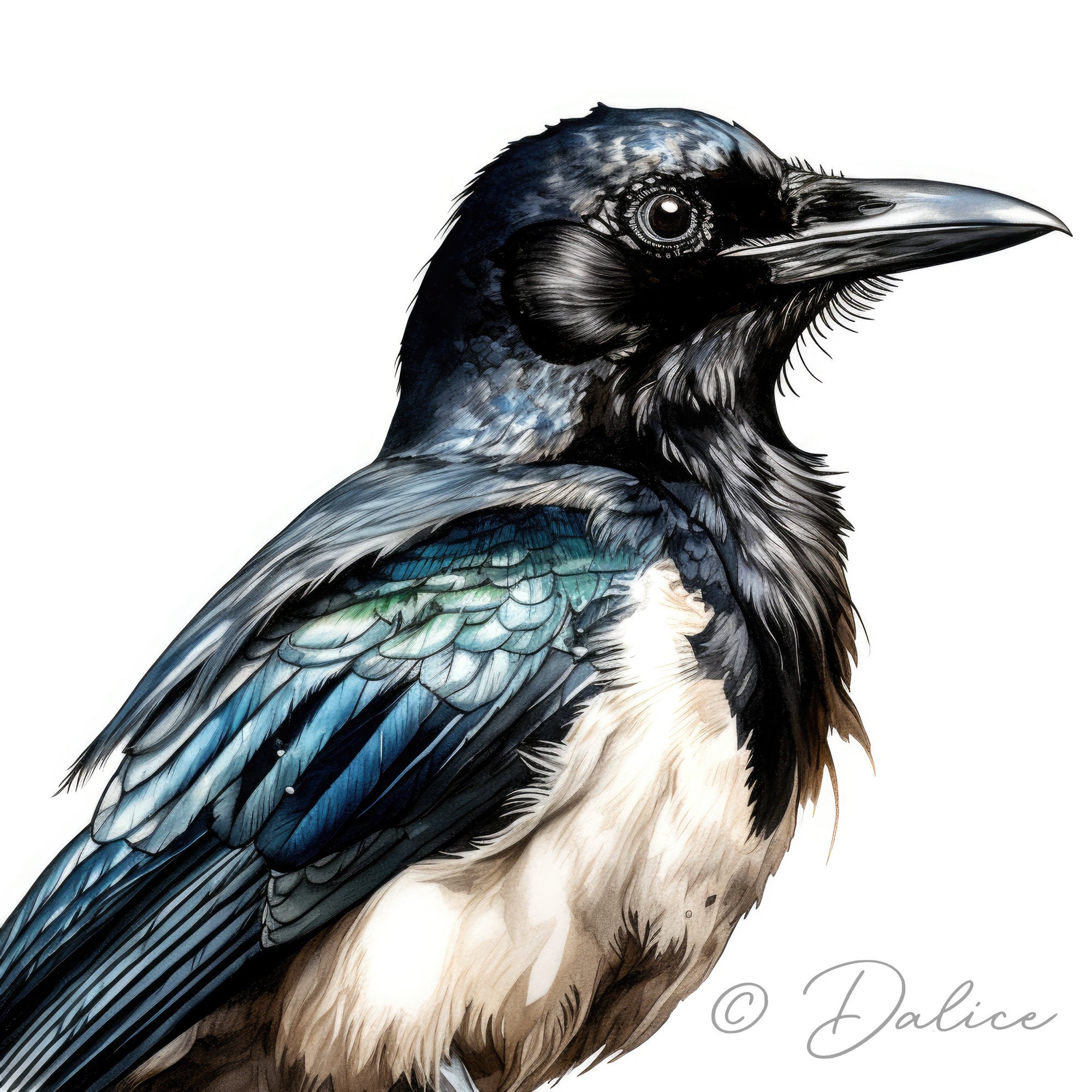 Magpie Clip Art 12 High Quality Images Digital Planner - Etsy