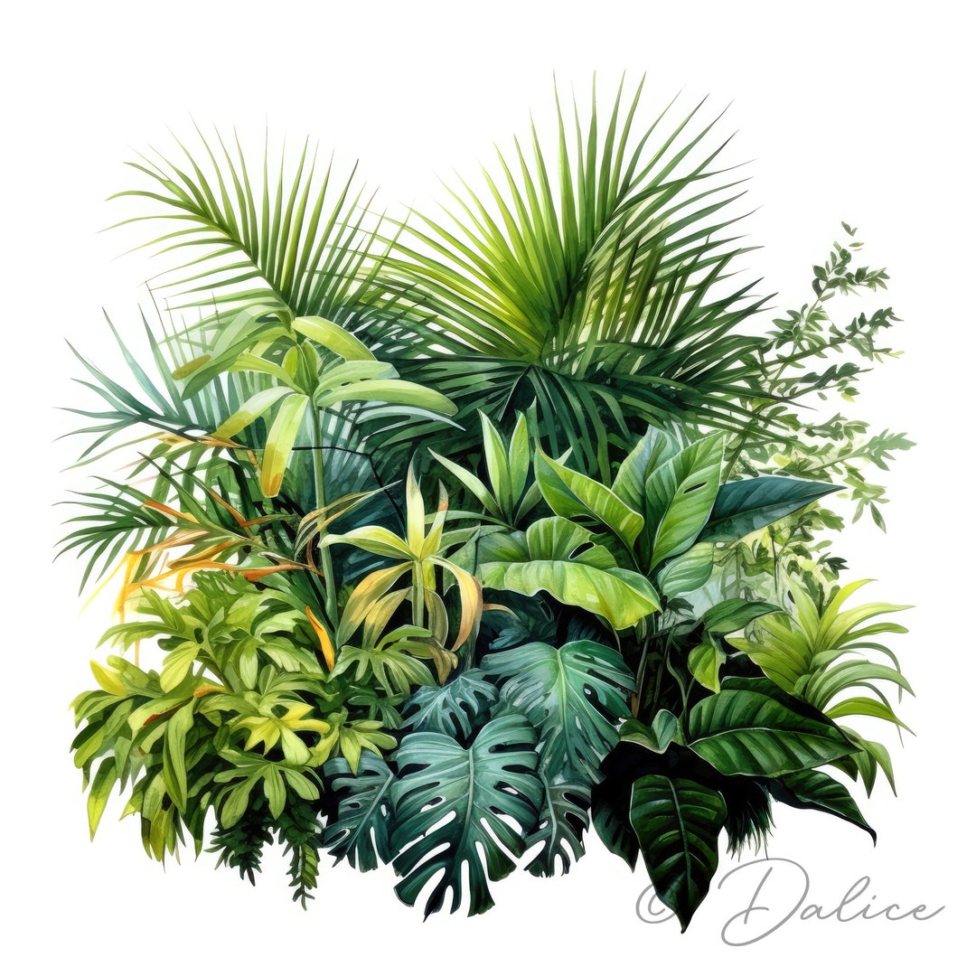 Tropical Plants Clip Art - 12 High Quality Images - Digital Planner ...