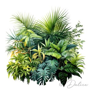 Tropical Plants Clip Art - 12 High Quality Images - Digital Planner ...