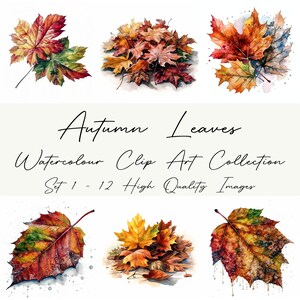 Autumn Leaves Clip Art - 12 High Quality Images - Digital Planner ...