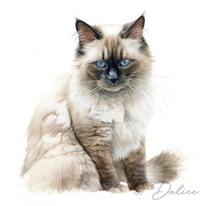 Birman Cat Clip Art - 12 High Quality Images - Digital Planner ...
