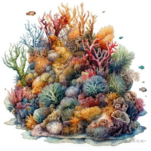Coral Reef Clip Art - 12 High Quality Images - Digital Planner ...