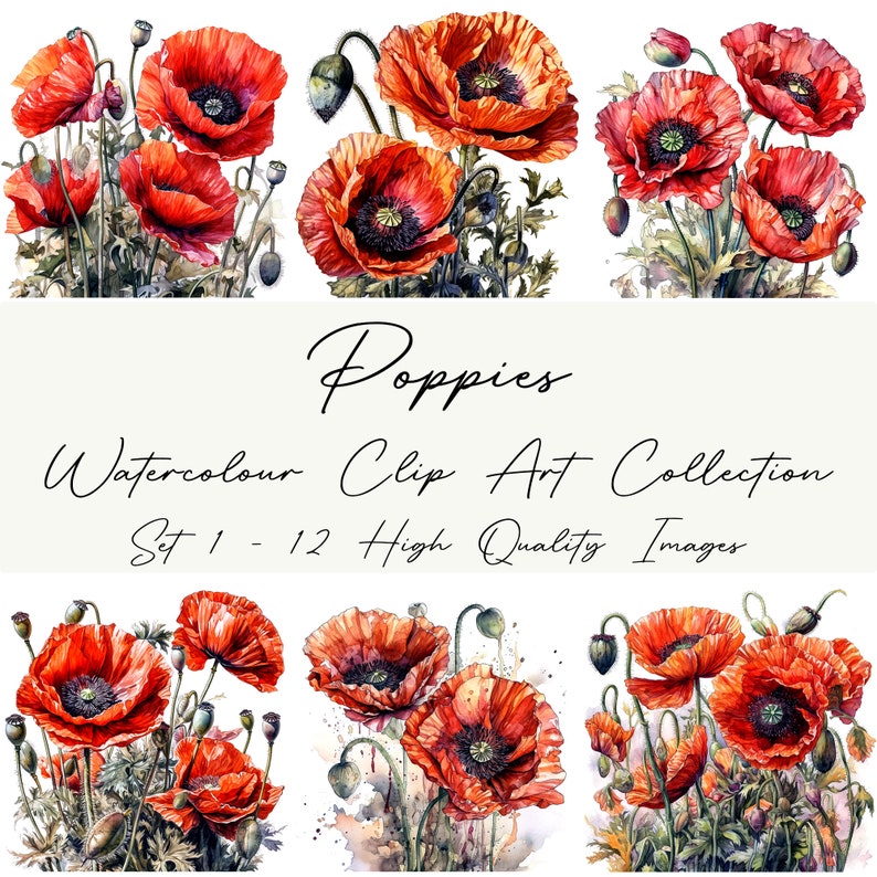 Poppies Clip Art 12 High Quality Images Digital Planner - Etsy