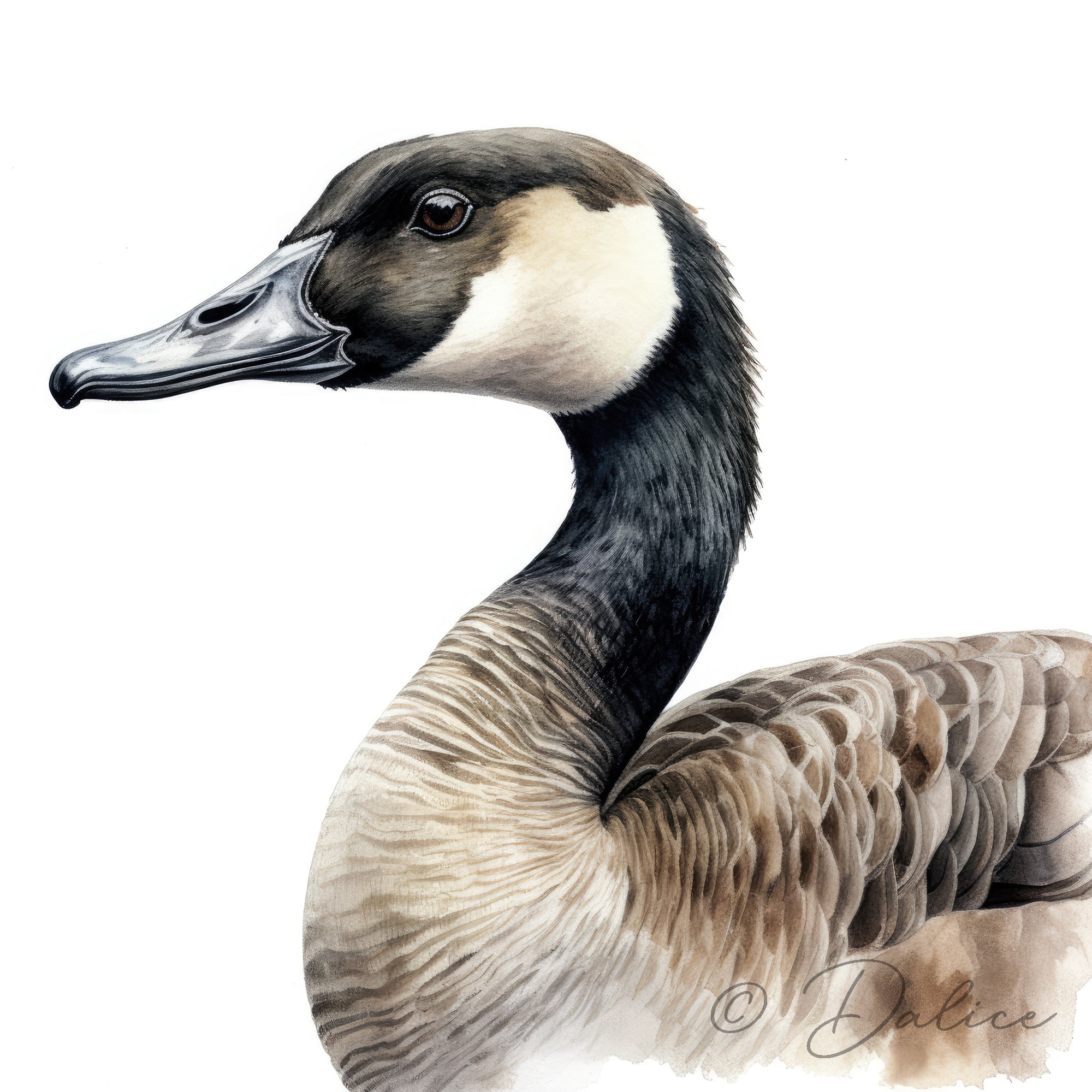 Canadian Goose Clip Art 12 High Quality Images Digital - Etsy