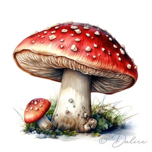 Toadstool Clip Art - 12 High Quality Images - Digital Planner ...