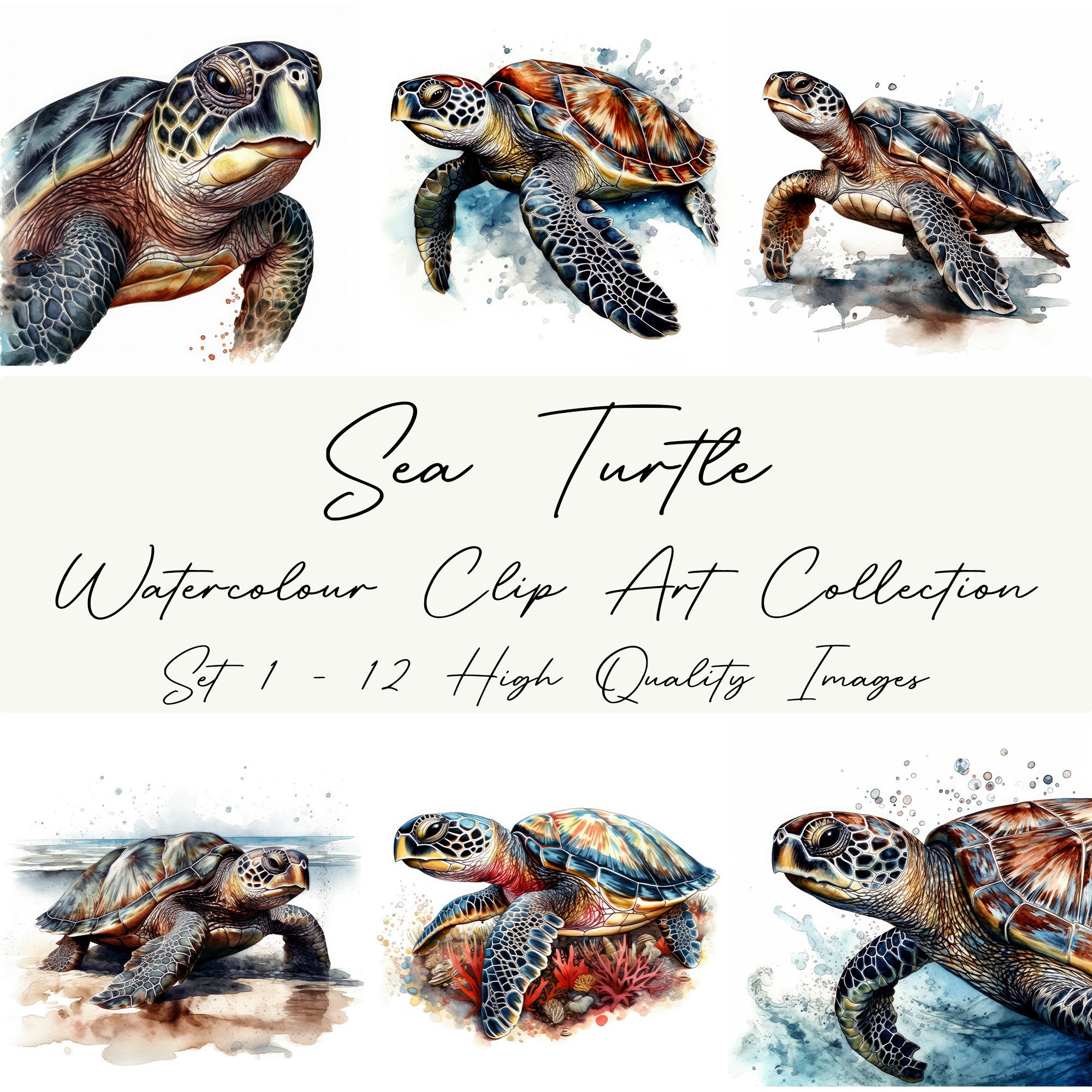 Sea Turtle Clip Art 12 High Quality Images Digital Planner, Watercolor ...