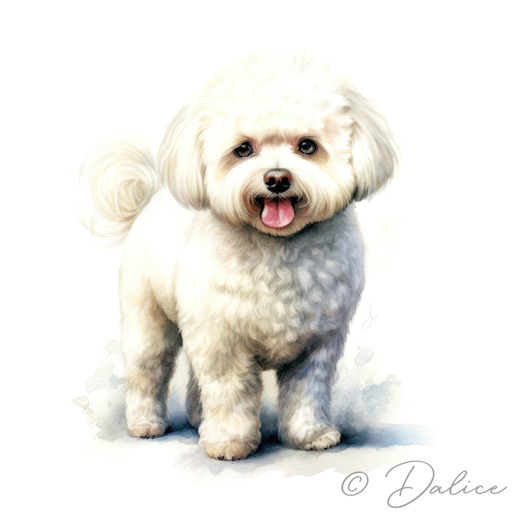 Bichon Frise Clip Art - 12 High Quality Images - Digital Planner ...