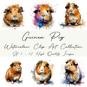 Guinea Pig Clip Art - 12 High Quality Images - Digital Planner ...