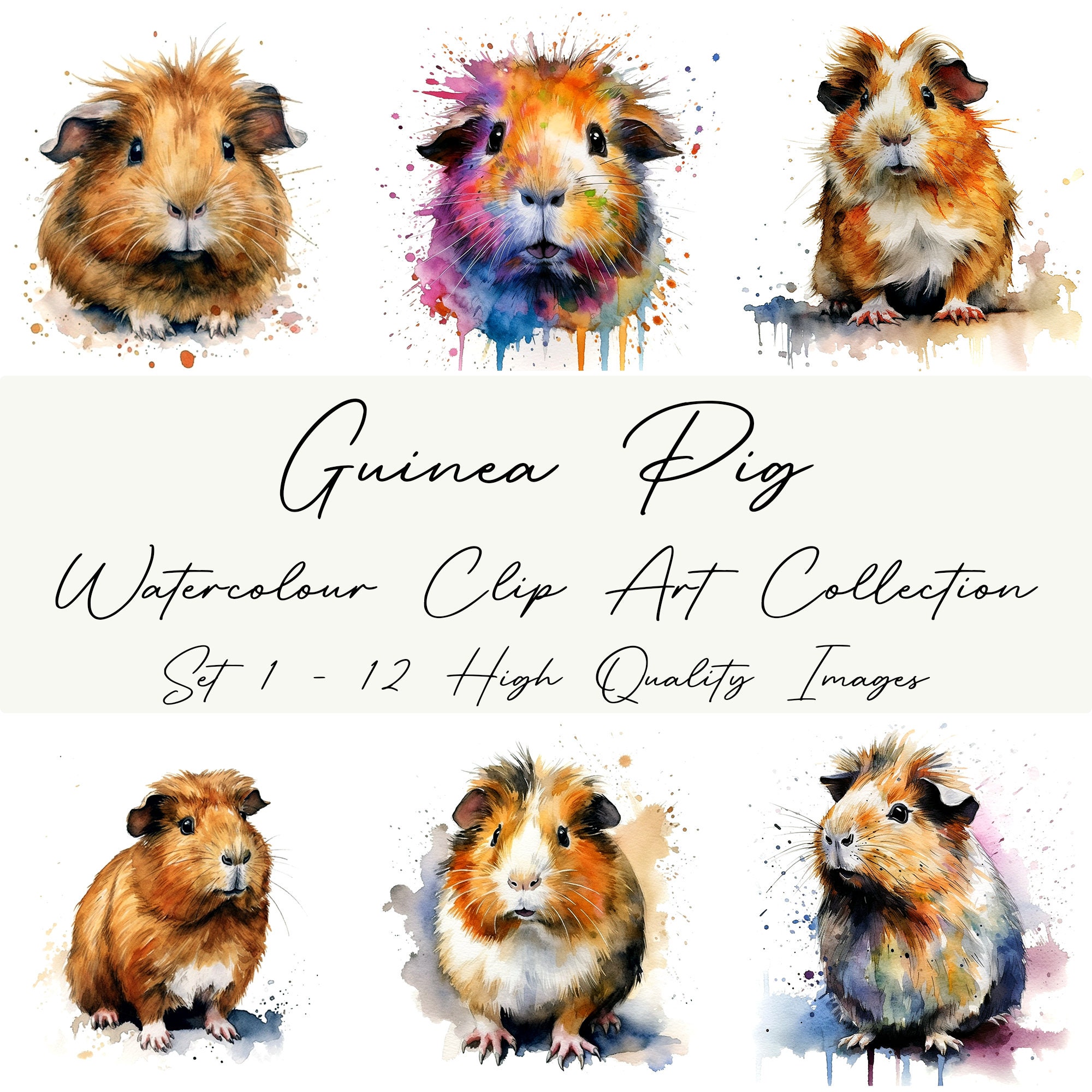 Guinea Pig Clip Art 12 High Quality Images Digital Planner, Watercolor ...
