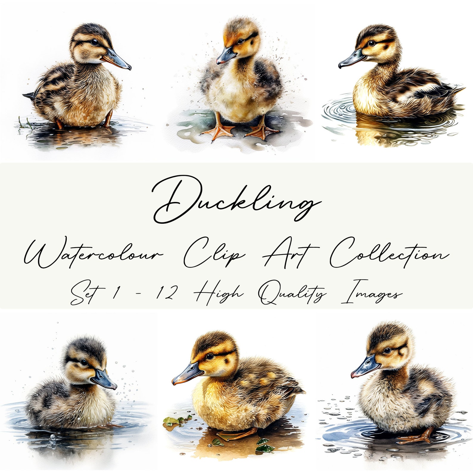 Duckling Clip Art 12 High Quality Images Digital Planner, Watercolor ...