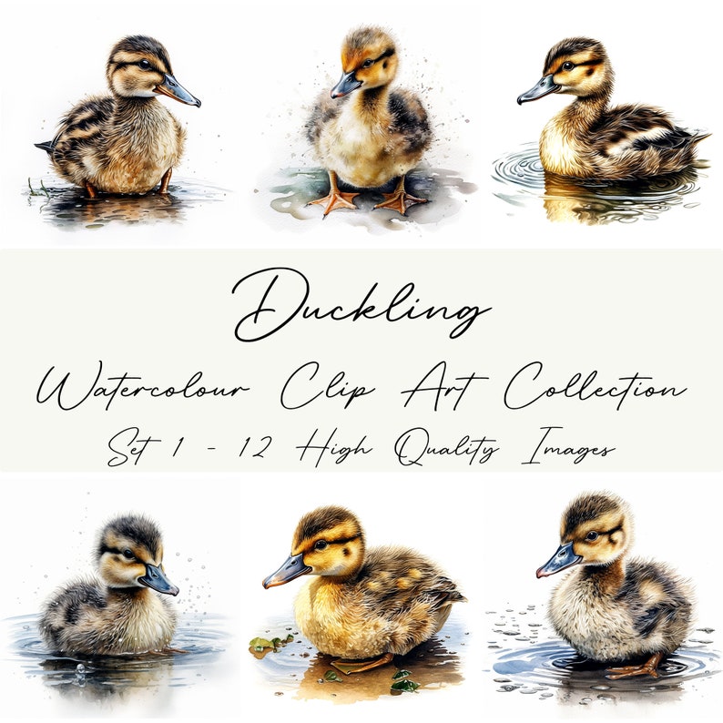 Duckling Clip Art 12 High Quality Images Digital Planner, Watercolor ...