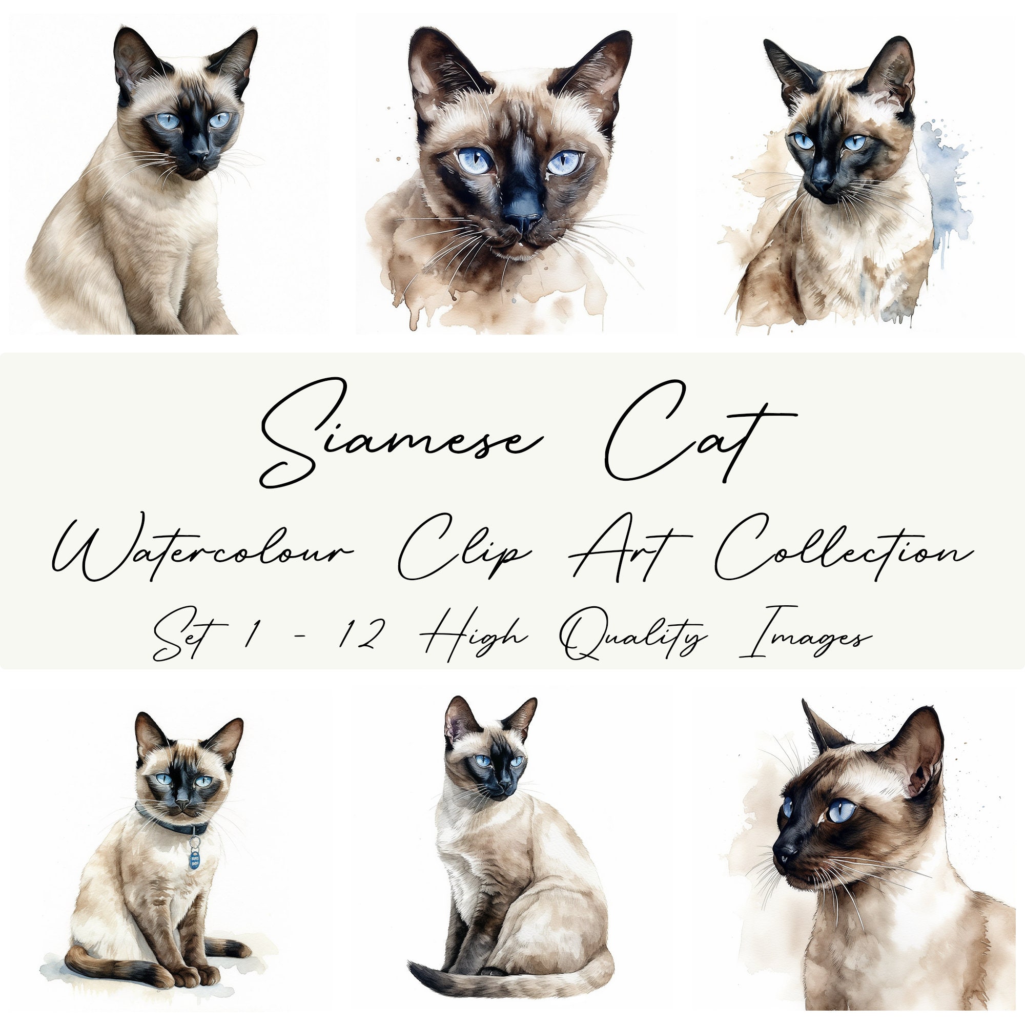 Siamese Cat Clip Art 12 High Quality Images Digital Planner, Watercolor ...