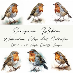 European Robin Clip Art - 12 High Quality Images - Digital Planner ...