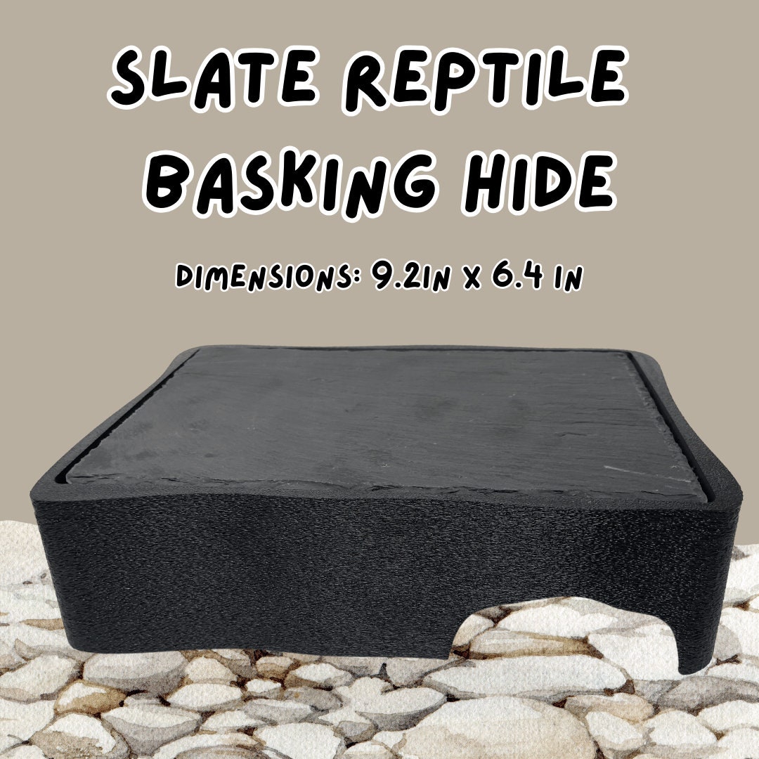 Reptile Slate Basking Hide | Accessory Platform for Bearded Dragon ...