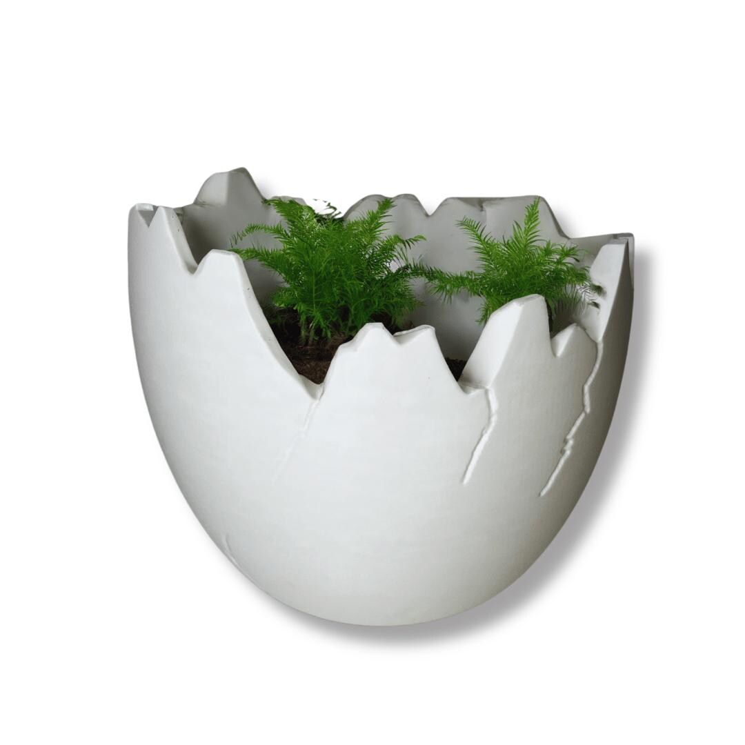 Dinosaur Egg Shell Planter | Unique Dinosaur Tabletop Indoor or Outdoor ...