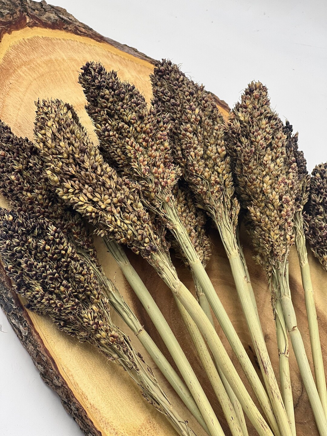 Blackgreen Sorghum/dari Cob Spray for Hamsters Organic Natural 1 X Dari ...