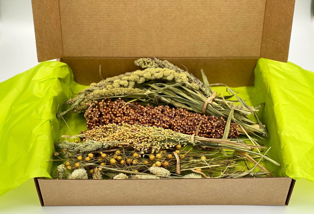 Hamster Natural Large Spray Forage Treat Box - Etsy UK