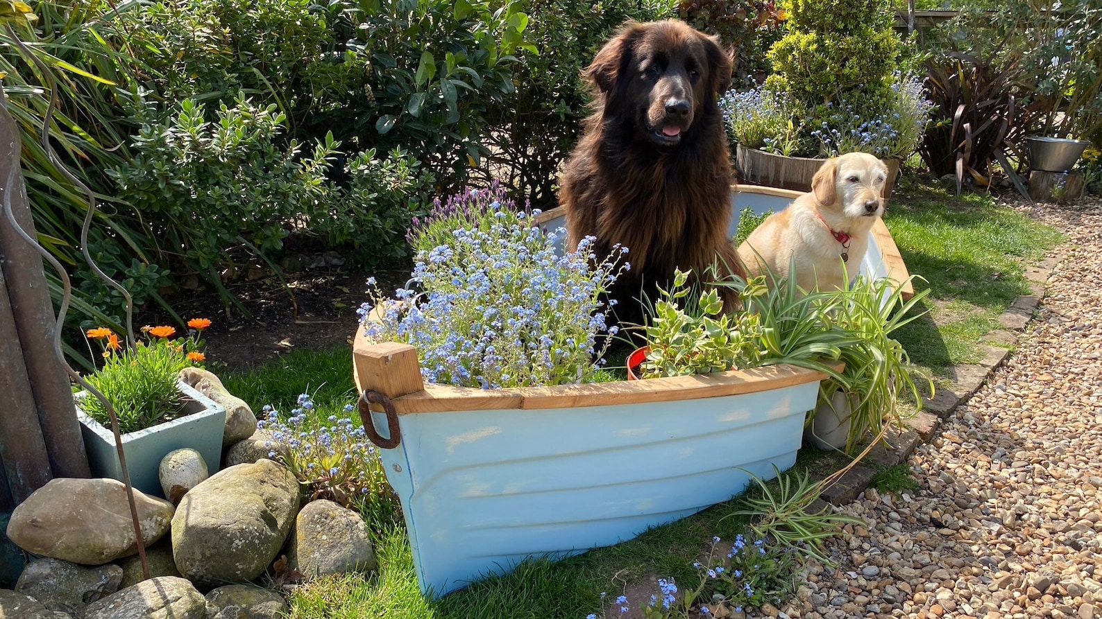 Large Flat-packed Boat Planter, Flower Pot, Garden, Pond, Ornament ...