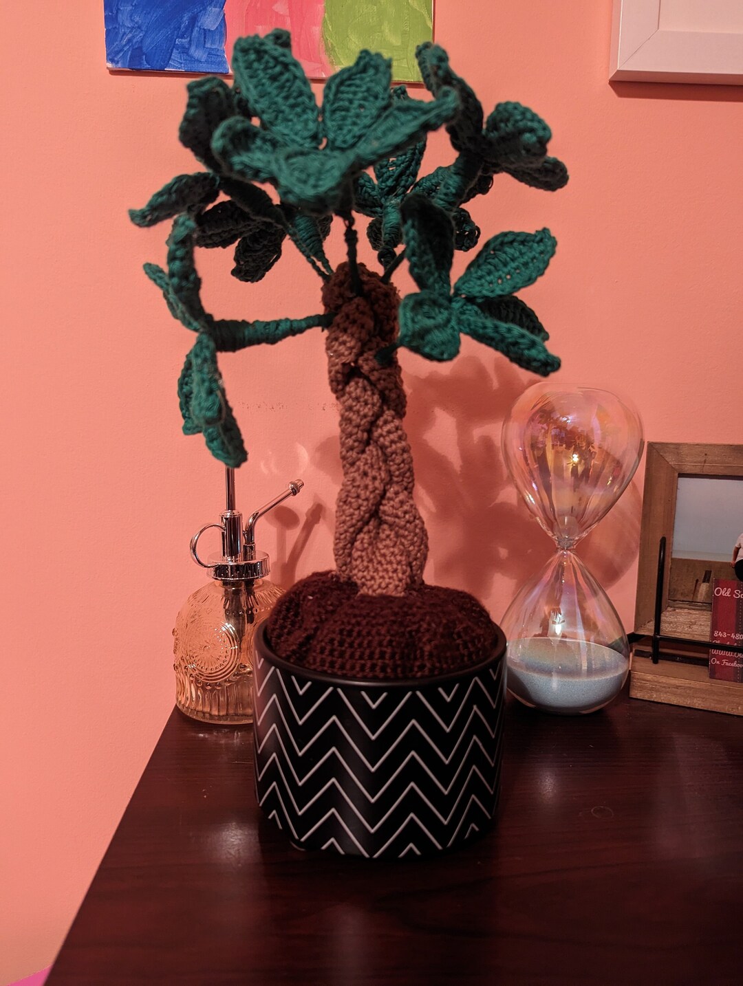 Lucky Chestnut/money Tree Houseplant - Etsy