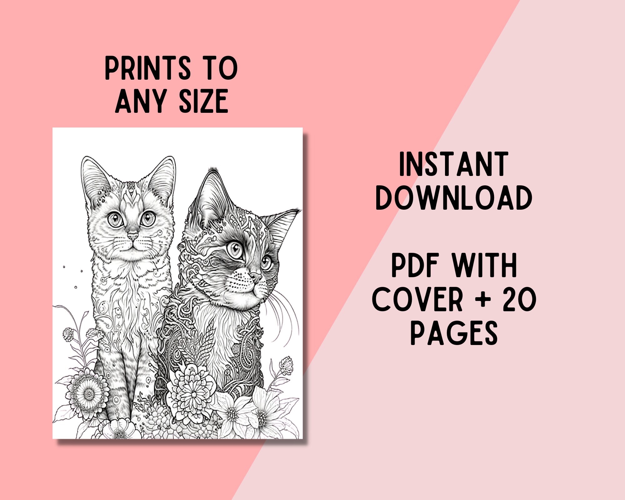 Cat Coloring Pages for Kids and Adults 20 Pages Coloring Book Cute ...