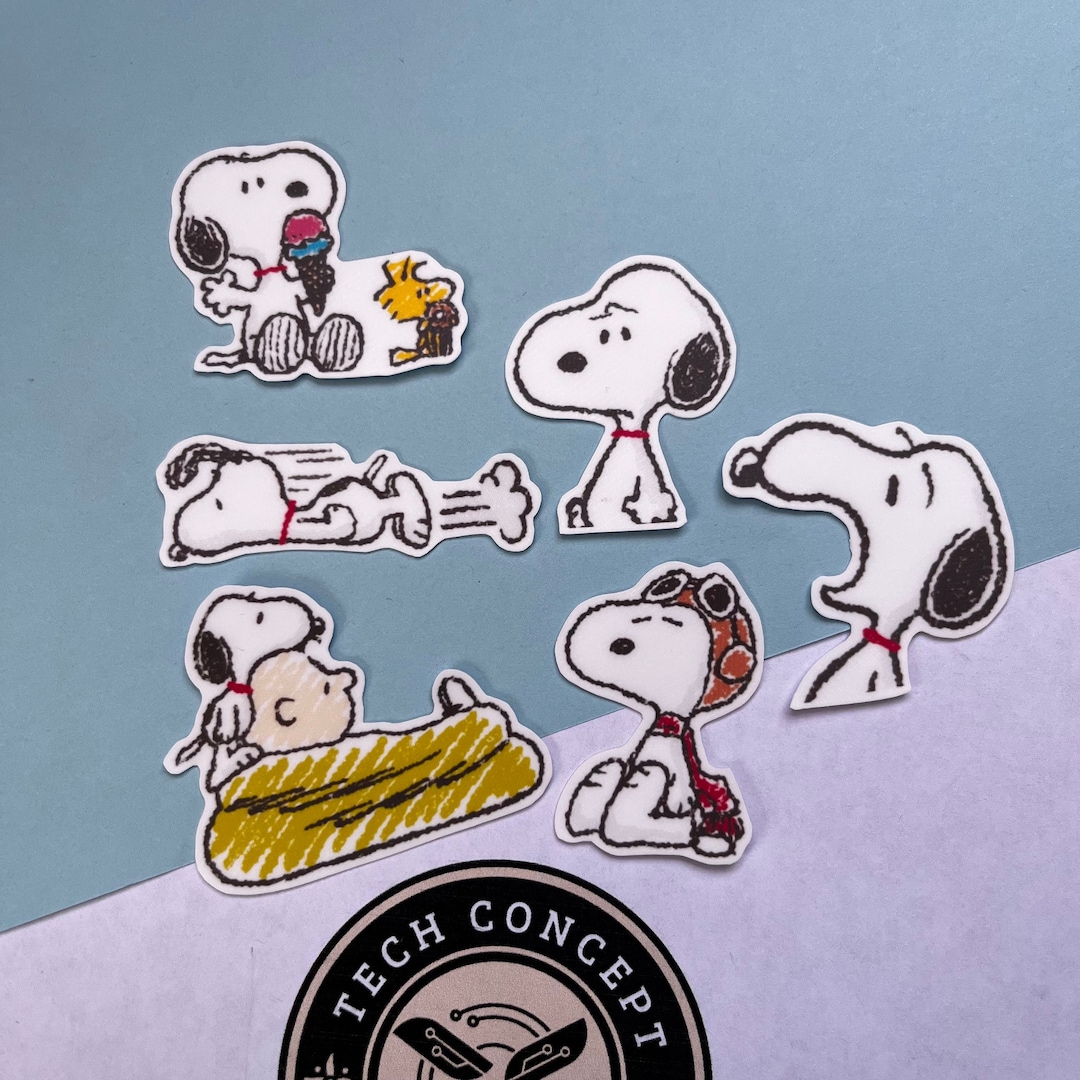 Snoopy & Friend Sticker Set Snoopy Matte Stickers Ft Charlie Brown, Woodstock y Peanuts / Linda ...