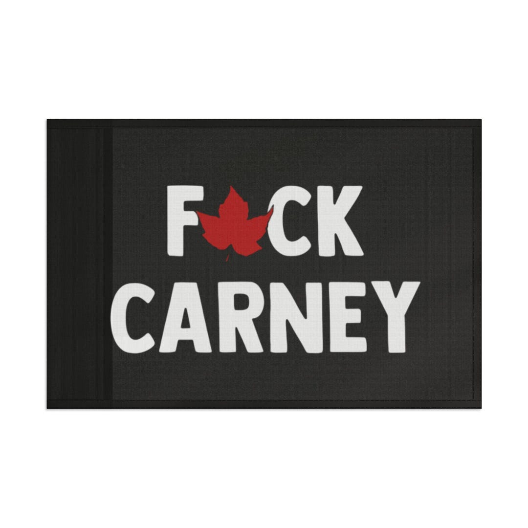 Flag Wall Art, Liberal Flag Decor, Political Home Decor, Carney Flag ...