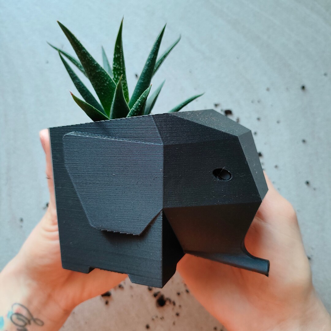 Cute Elephant With a Hollow in It: 3D Printed Planter for Succulent ...