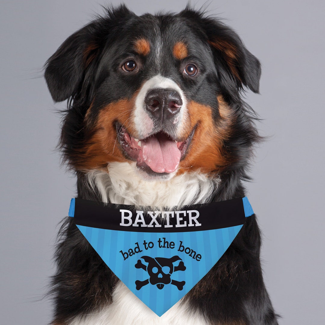 Humorous Dog Bandanas, Bad to the Bone Personalized Pet Bandana-blue ...