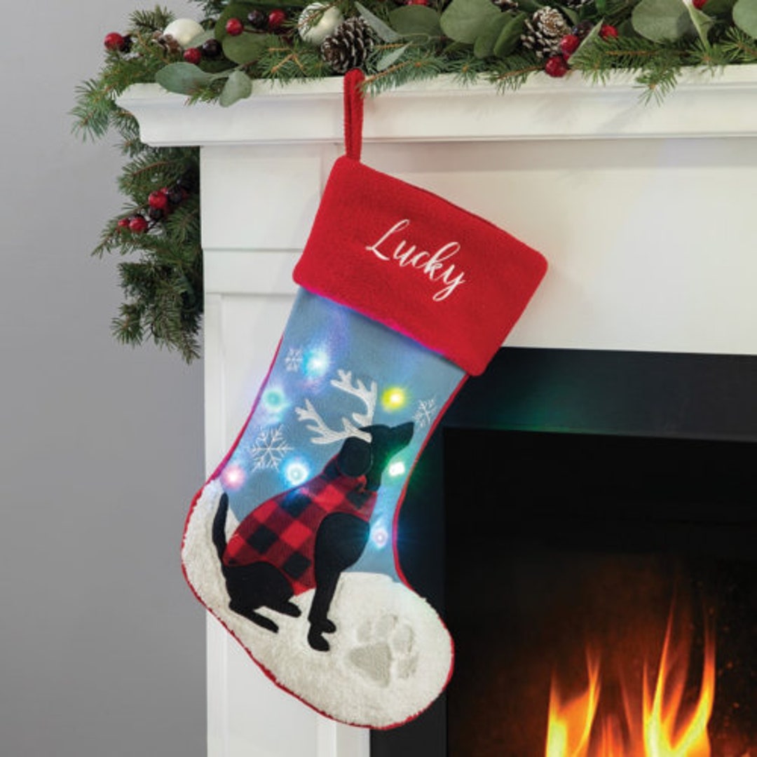 Black Dog With Vest Personalized LED Stocking, Personalized Christmas ...