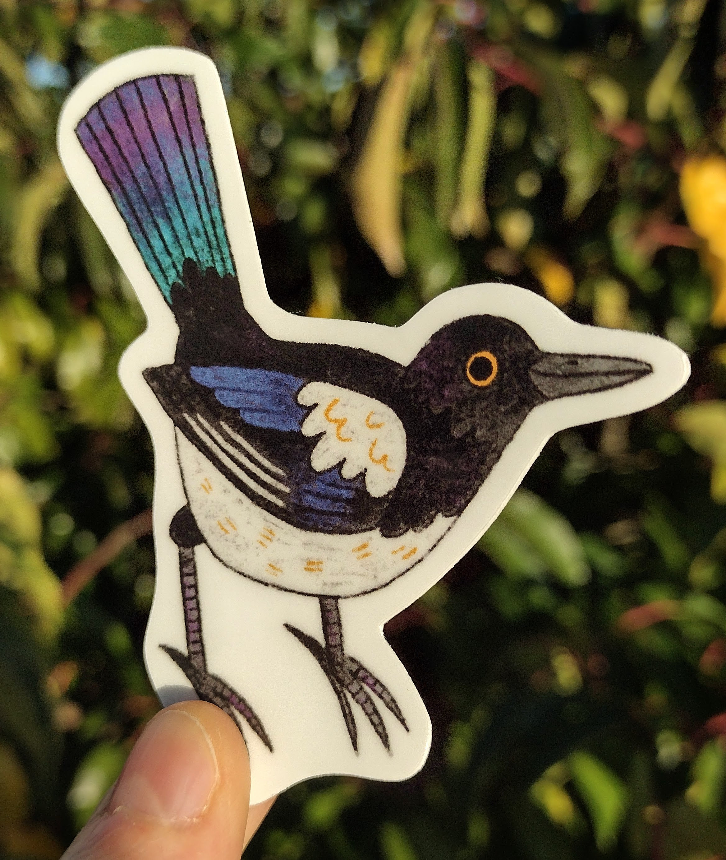 Maggie the Magpie Sticker. Cute Laptop, Phone, Bottle, Sketchbook ...