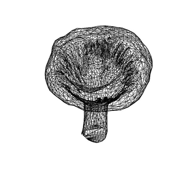 3D Lacataius Indigo Mushroom STL – High-quality Model for Miniatures ...