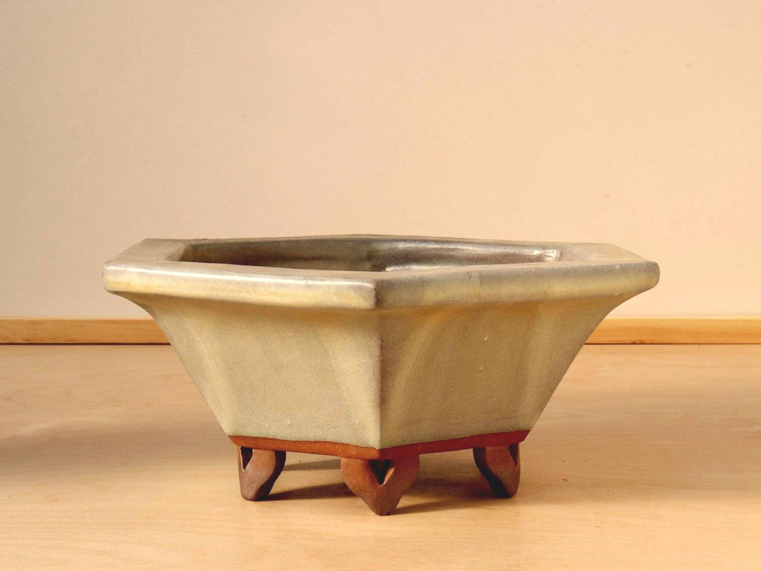 Hexagonal Bonsai Pot 9 - Etsy