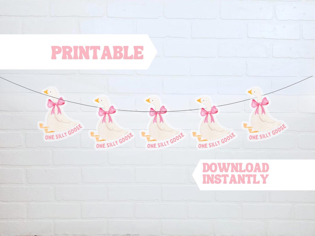 Silly Goose Birthday Banner Printable | One Silly Goose | DIY Pink Bow ...