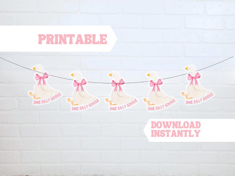 Silly Goose Birthday Banner Printable | One Silly Goose | DIY Pink Bow ...