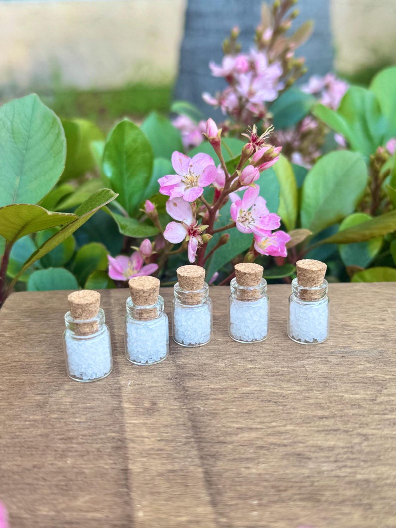 Blessed Exorcism Salts Latin Epiphany Blessing 5PC - Etsy