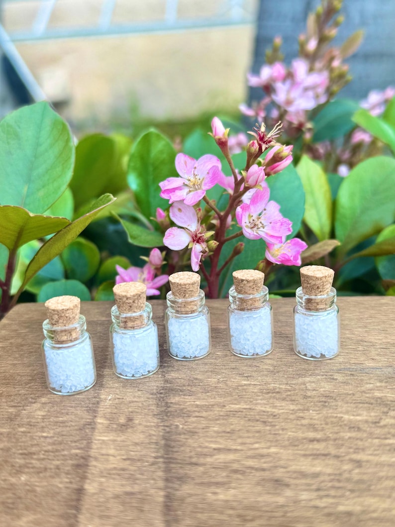 Blessed Exorcism Salts Latin Epiphany Blessing 5PC - Etsy
