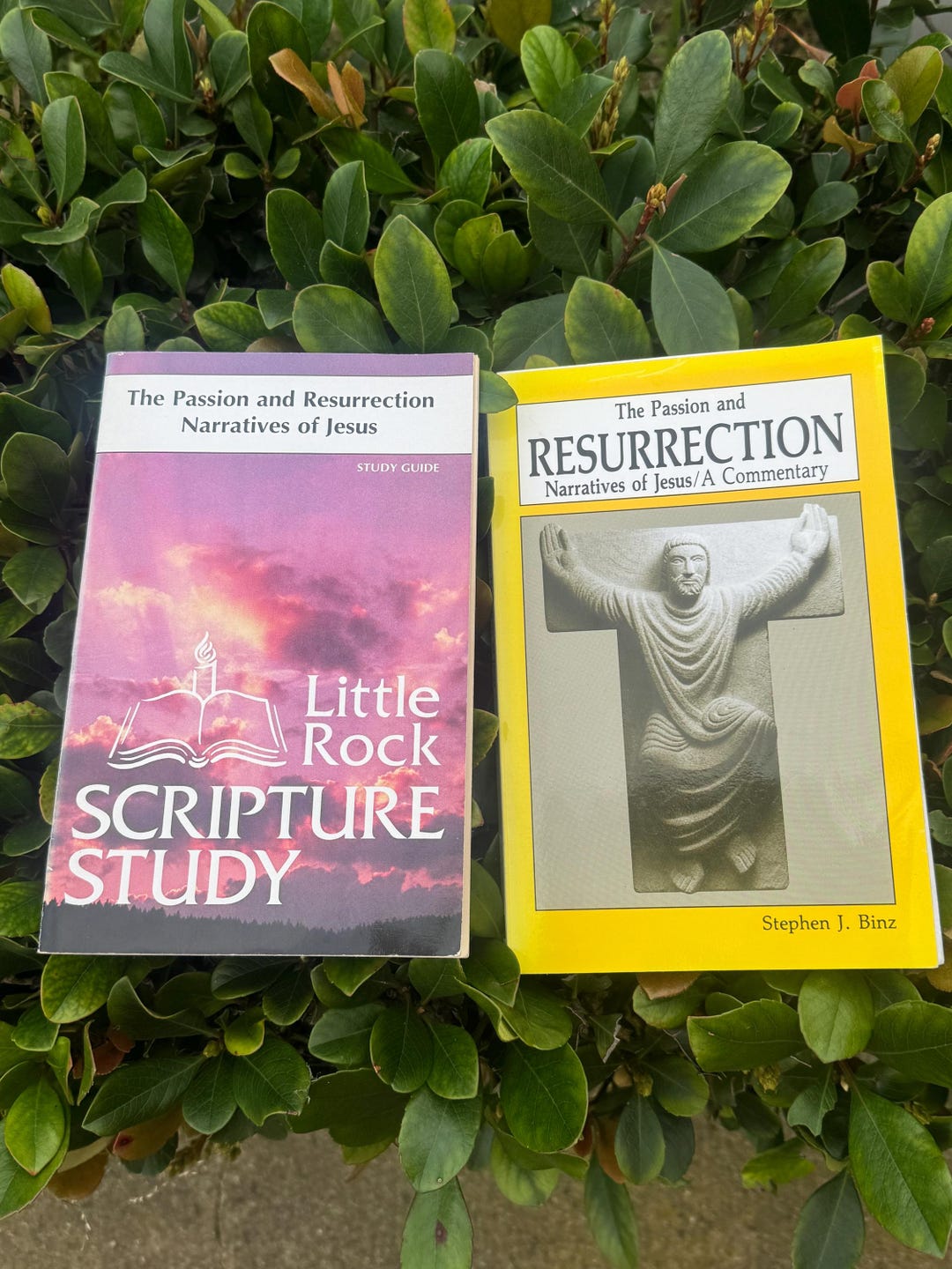 Vintage the Passion and Resurrection Narratives of Jesus: A Commentary ...