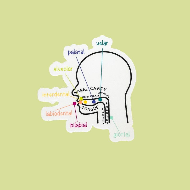 Sound Placement Chart Speech Therapy Sticker / SLP Sticker / - Etsy