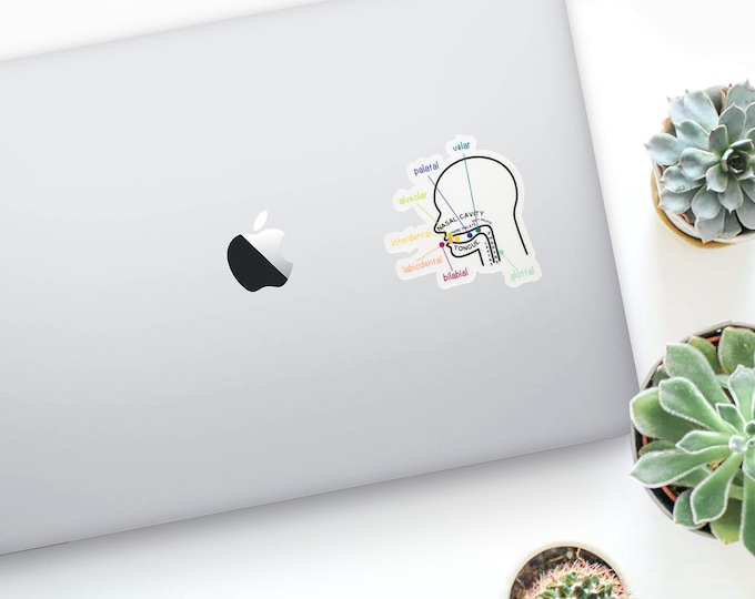 Sound Placement Chart Speech Therapy Sticker / SLP Sticker / Speech ...