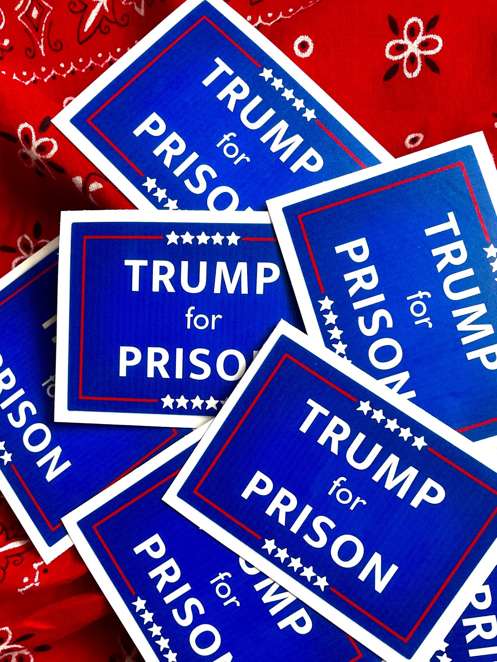 Trump for Prison Sticker, Waterproof Matte Vinyl - Etsy