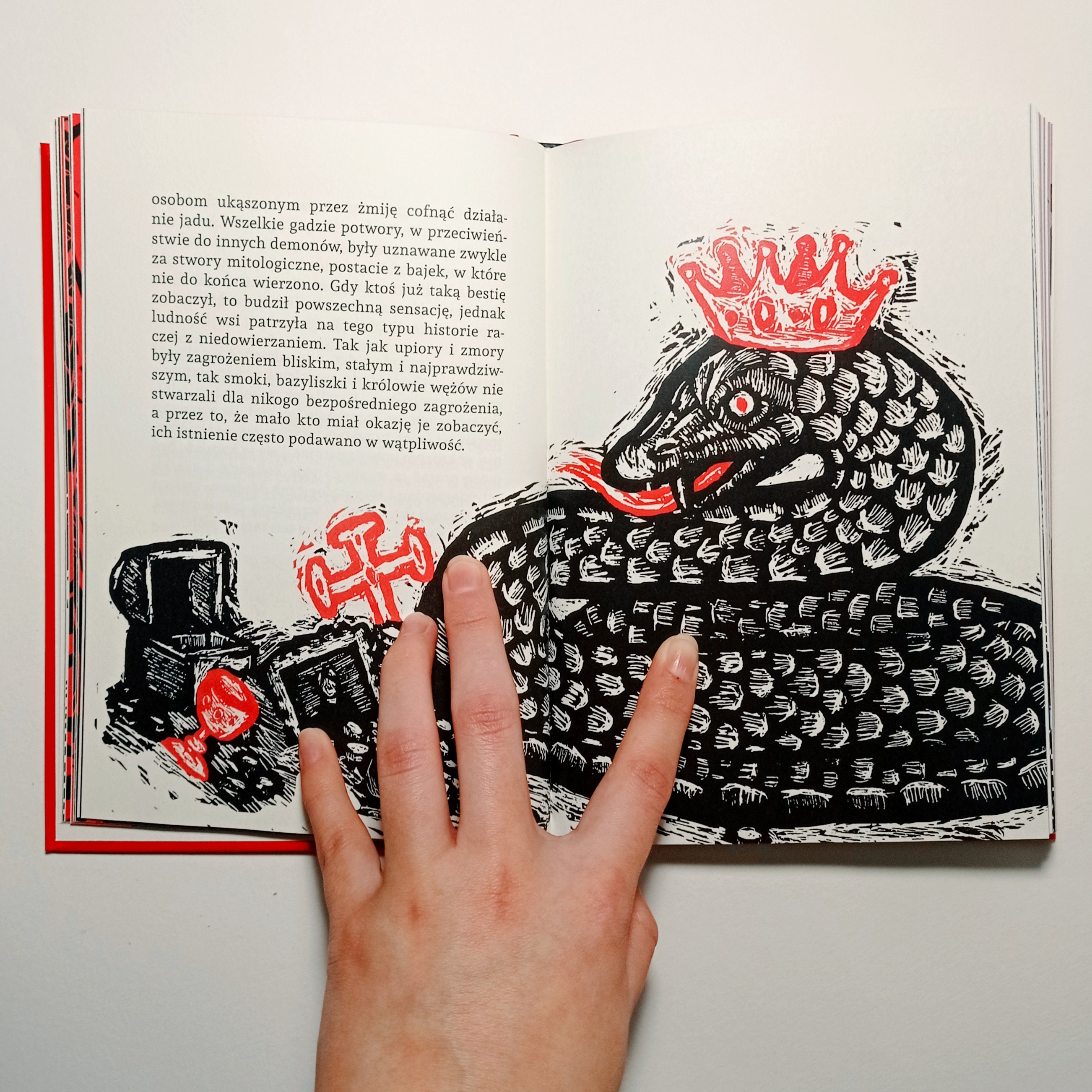 Diabły demony czarty i biesy Książka autorska Ilustracje - Etsy Polska