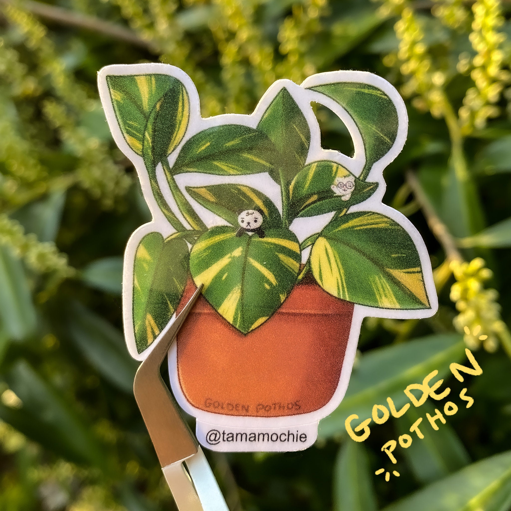 Cute Pothos Stickers Sansan&pohpoh Plant Die-cut Stickers - Etsy