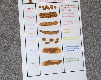 Bristol Stool Chart | Etsy