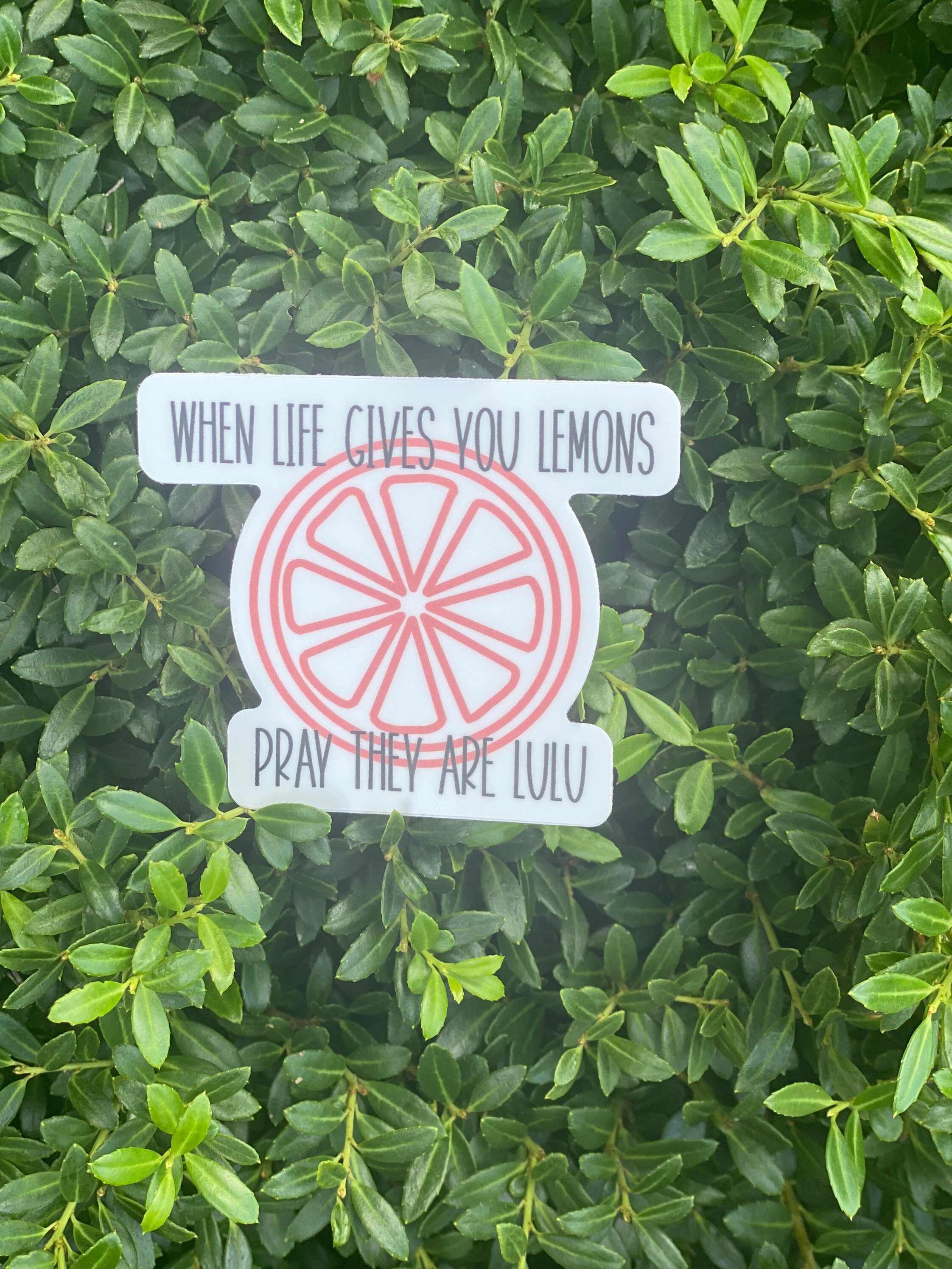 Lululemon 2000s Stickers Y2K Sticker Set 2000s Sticker | Etsy