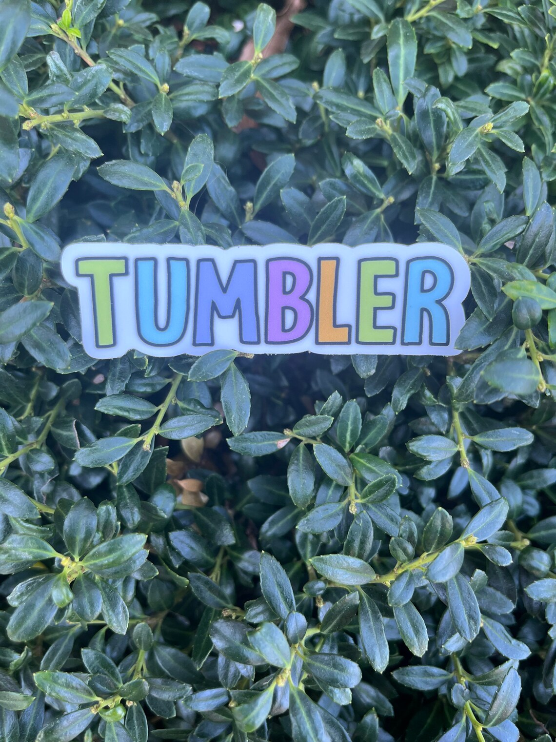 Cheer Sticker | Cheerleading Stickers|cheer Sticker Pack | Cheer Decal ...